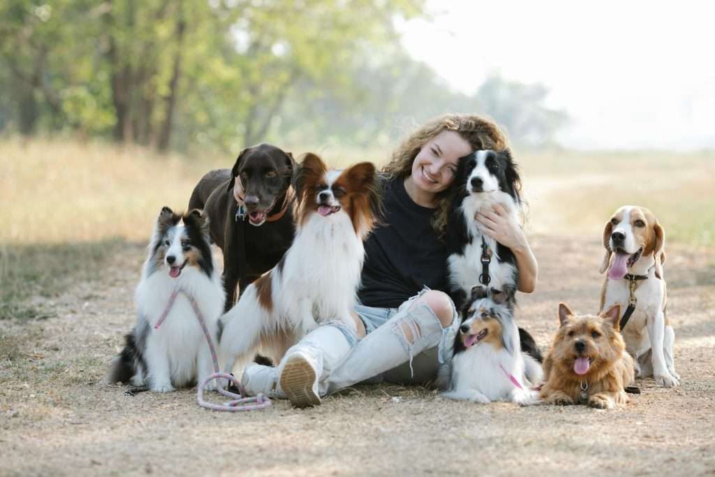 10 Cutest Dog Breeds You’ll Instantly Fall in Love With